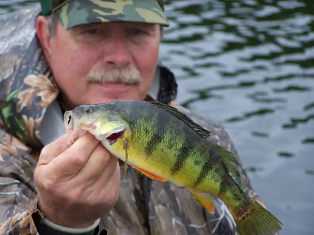 Robert A. “Bob” Stevens – Secor Funeral Home